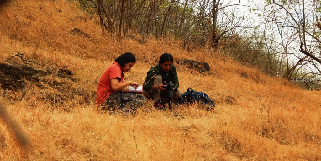 Bhamburda_Biodiversity_assessment | FORREST