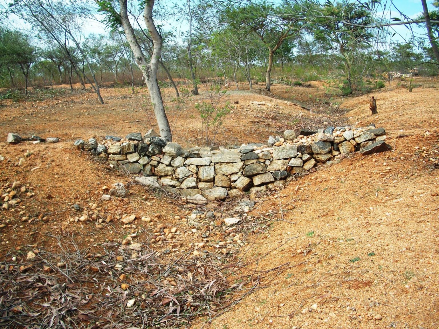 Water conservation: why and how | FORREST